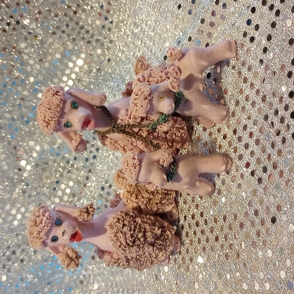 Other | Rare Vintage Spaghetti Poodles | Poshmark